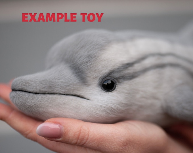 Winter the Dolphin Art, Dolphin With Prosthetic, Dolphin Art, Nautical ...