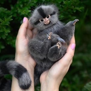 Made to Order! Marmoset Monkey Realistic Stuffed Toy - Etsy