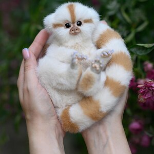 Marmoset Monkey Realistic Stuffed Toy - Made to Order! - Etsy