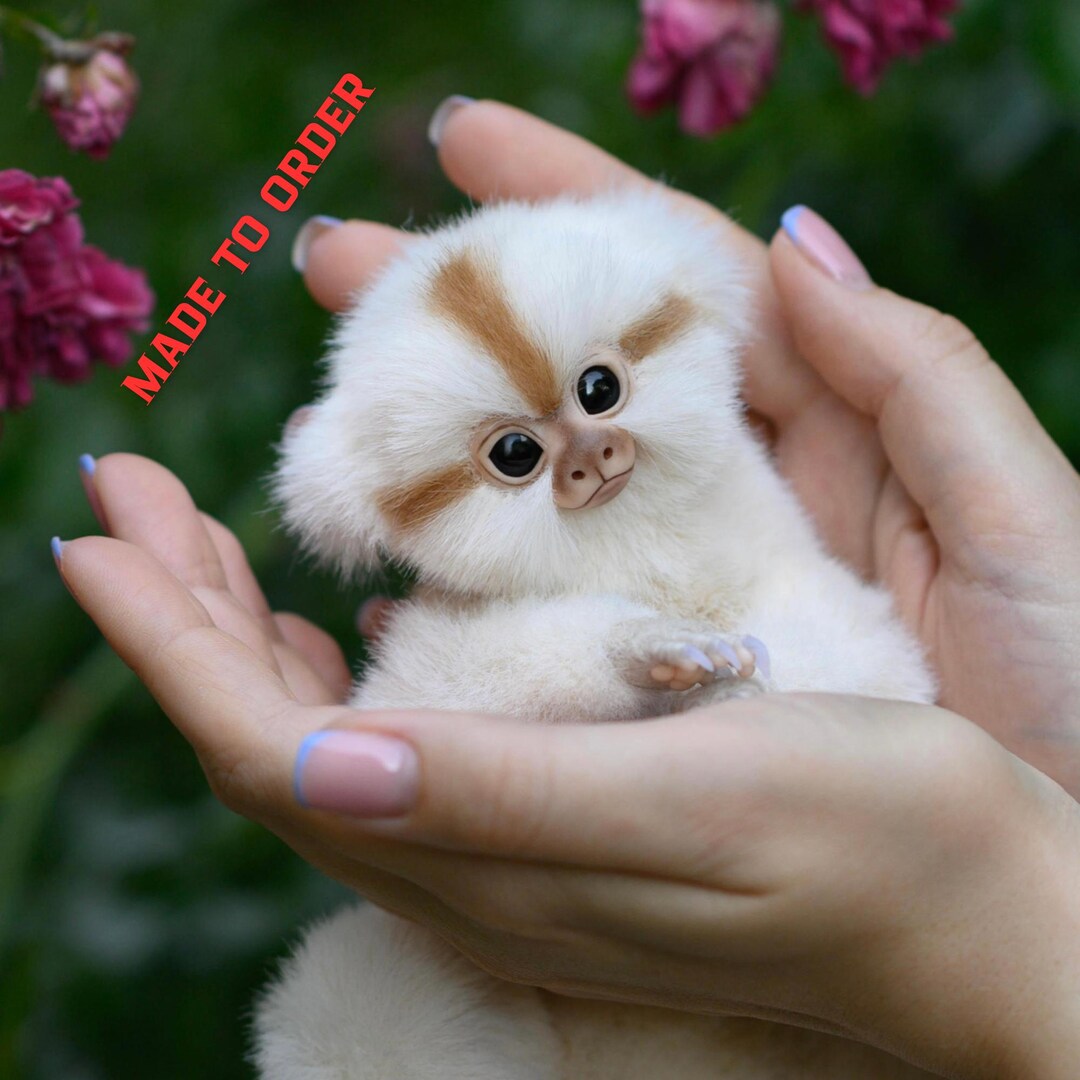 Marmoset Monkey Realistic Stuffed Toy - Made to Order! - Etsy