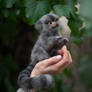 Made to Order! Marmoset Monkey Realistic Stuffed Toy - Etsy