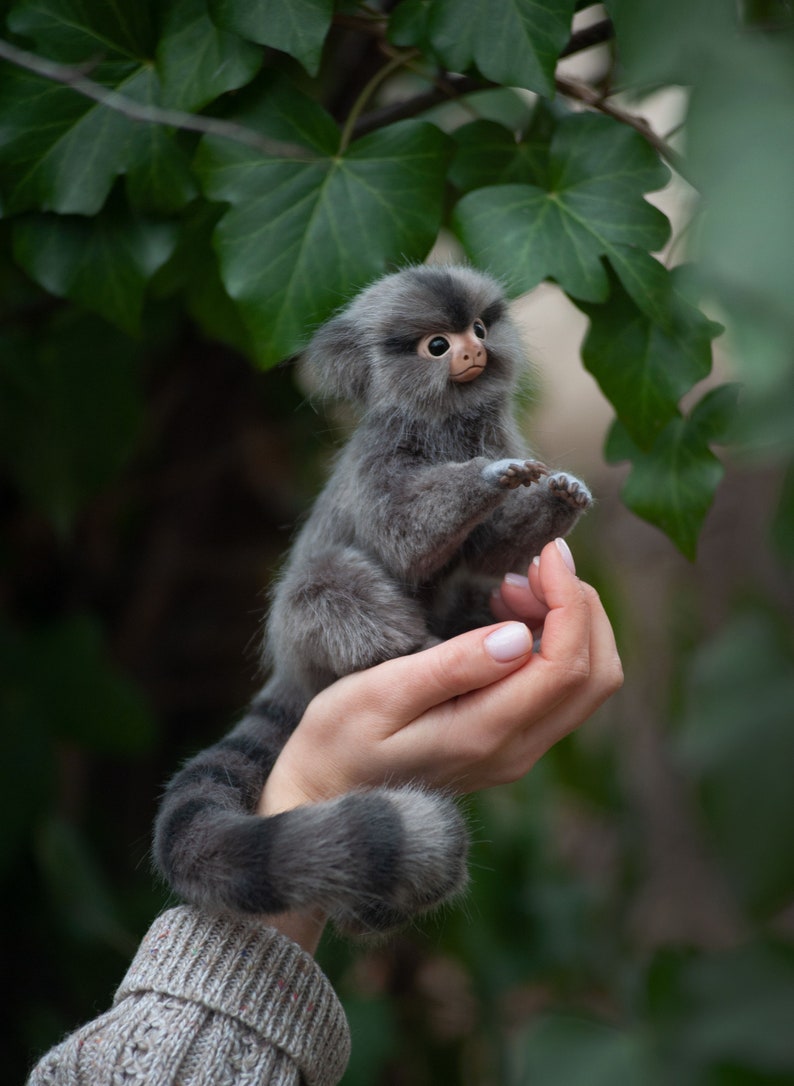 Made to Order Marmoset Monkey Realistic Stuffed Toy - Etsy