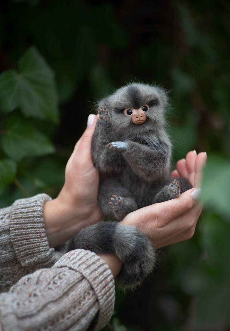 Made to Order Marmoset Monkey Realistic Stuffed Toy - Etsy