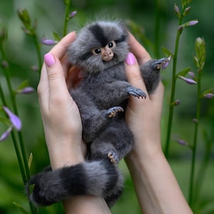 Made to Order! Marmoset Monkey Realistic Stuffed Toy - Etsy