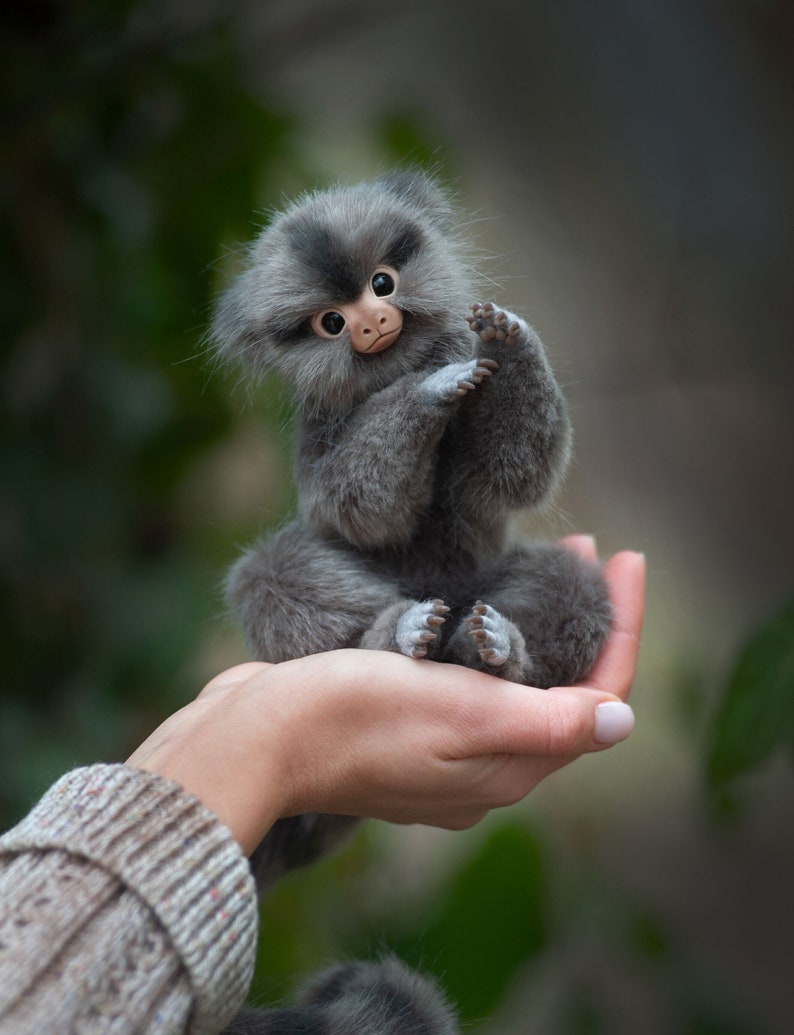 Made to Order Marmoset Monkey Realistic Stuffed Toy - Etsy