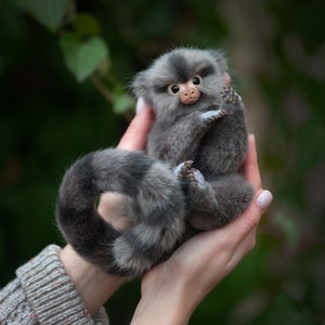 Made to Order Marmoset Monkey Realistic Stuffed Toy - Etsy