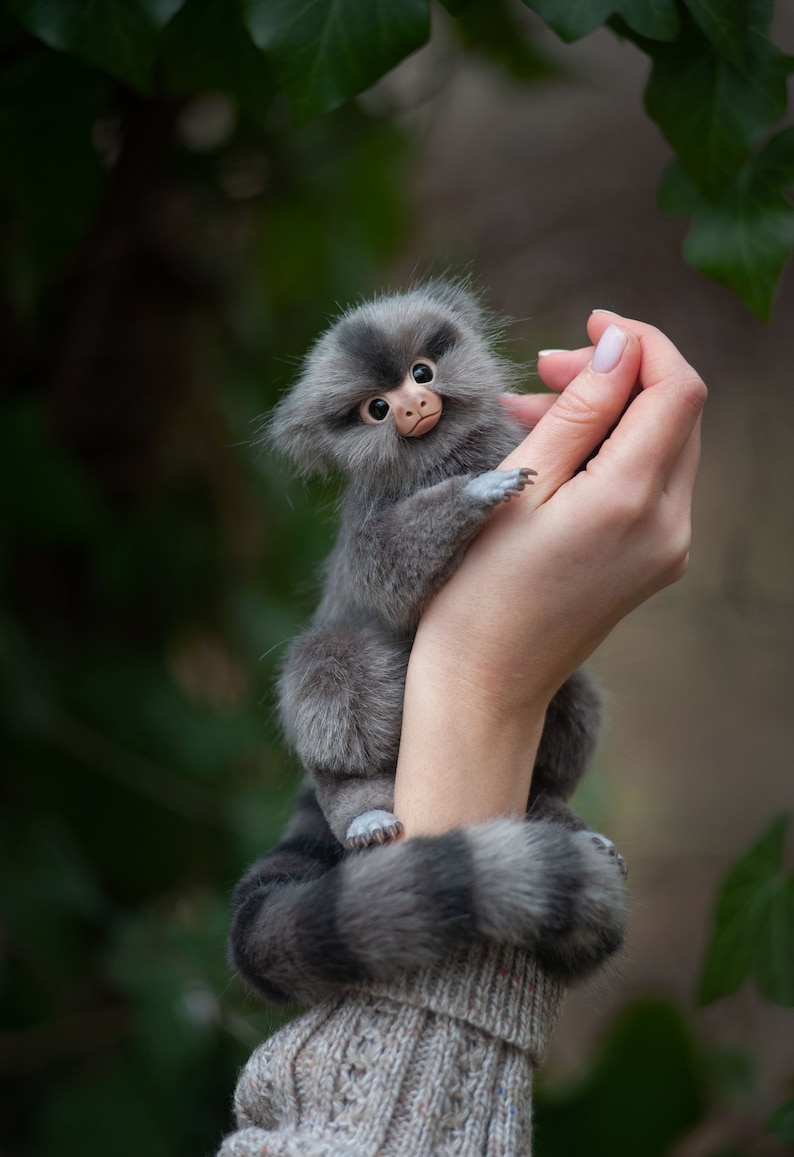 Made to Order Marmoset Monkey Realistic Stuffed Toy - Etsy