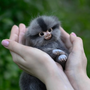 Made to Order! Marmoset Monkey Realistic Stuffed Toy - Etsy