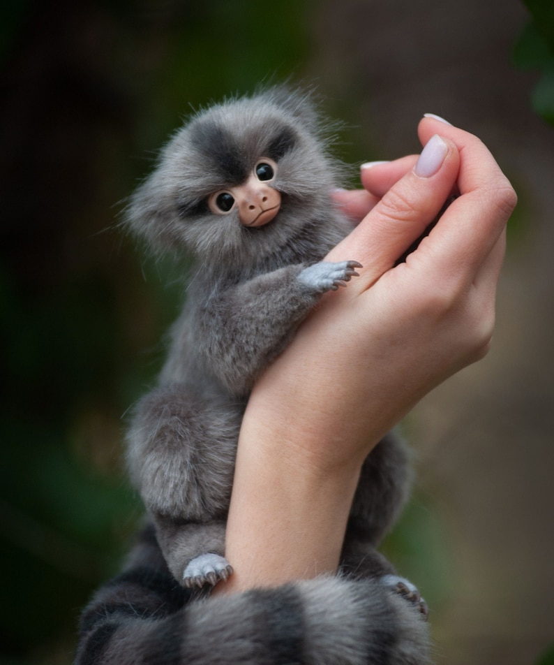 Made to Order Marmoset Monkey Realistic Stuffed Toy - Etsy UK