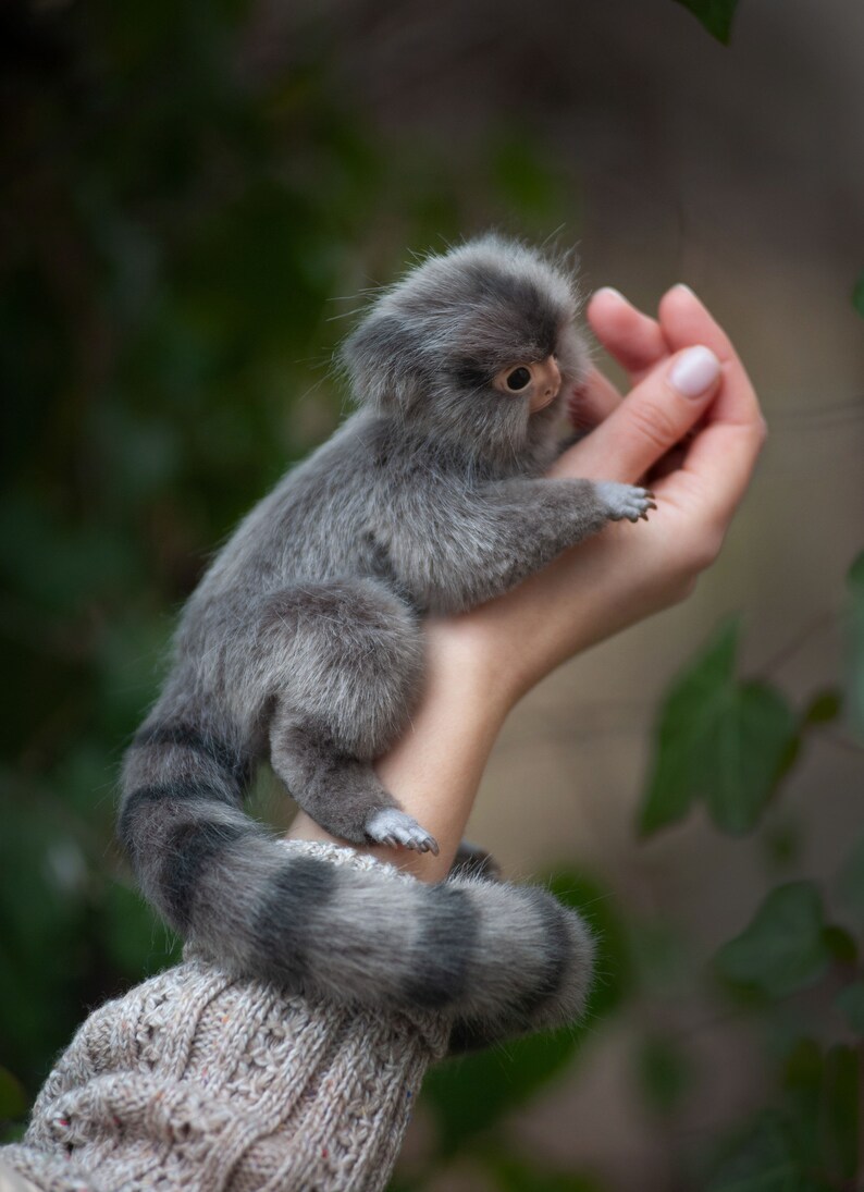 Made to Order Marmoset Monkey Realistic Stuffed Toy - Etsy