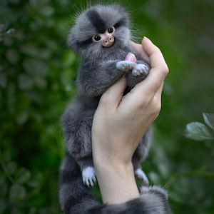 Made to Order! Marmoset Monkey Realistic Stuffed Toy - Etsy