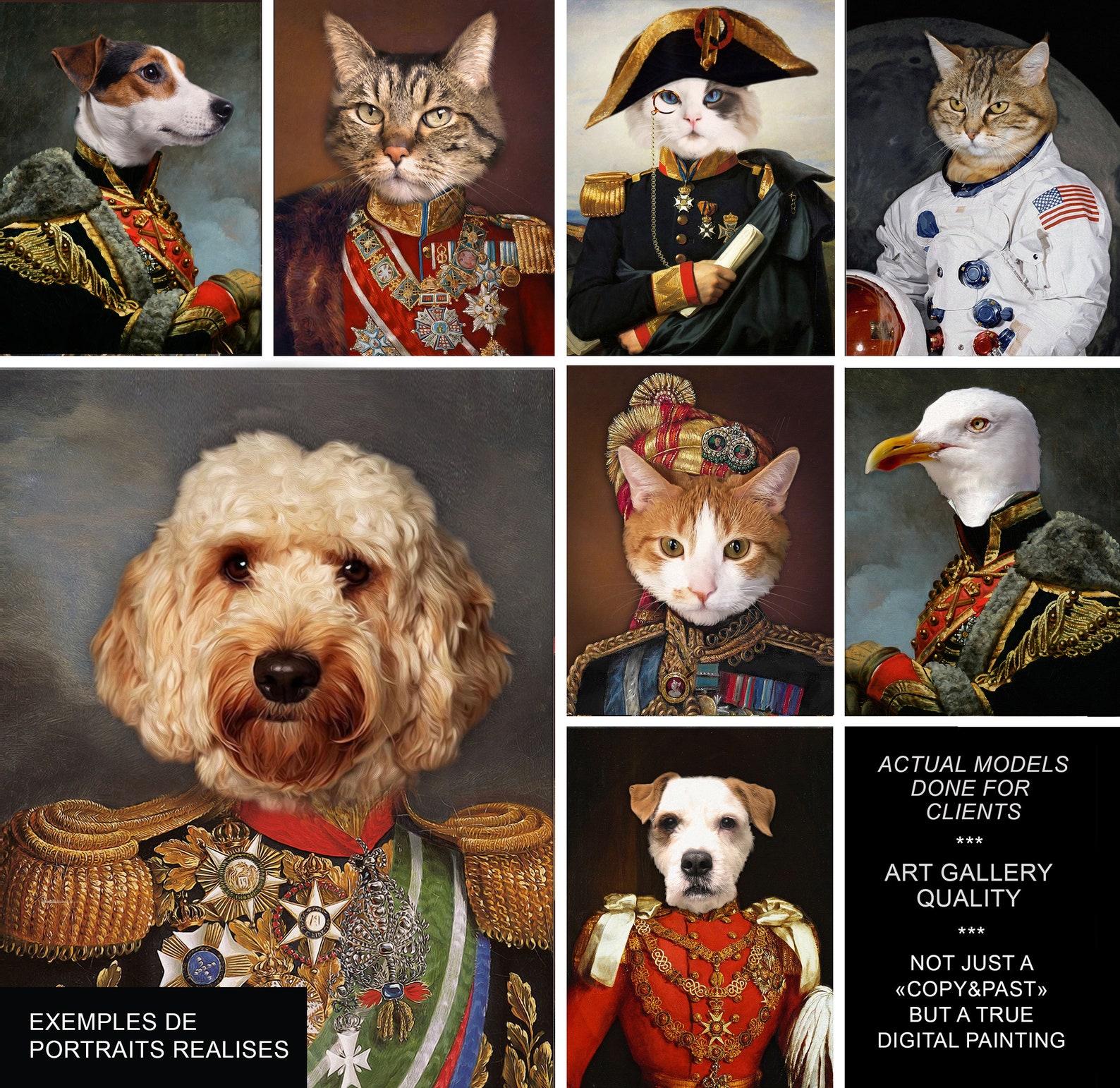 Custom Pet Portrait,military Pet Portrait,regal Pet Portrait,royal Pet ...