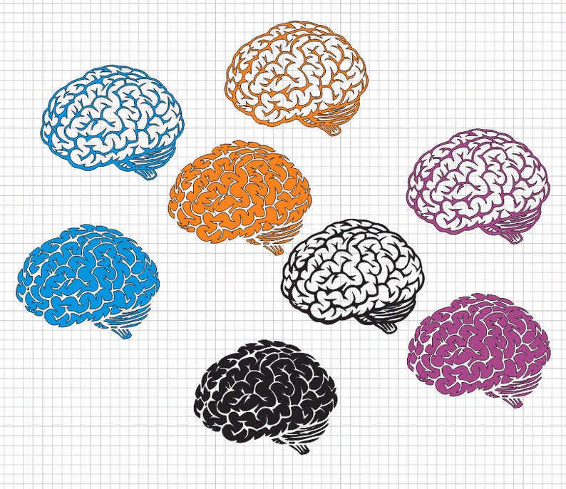 Brain Svg Brain Vinyl Cut Human Brain Svg Brain Color - Etsy