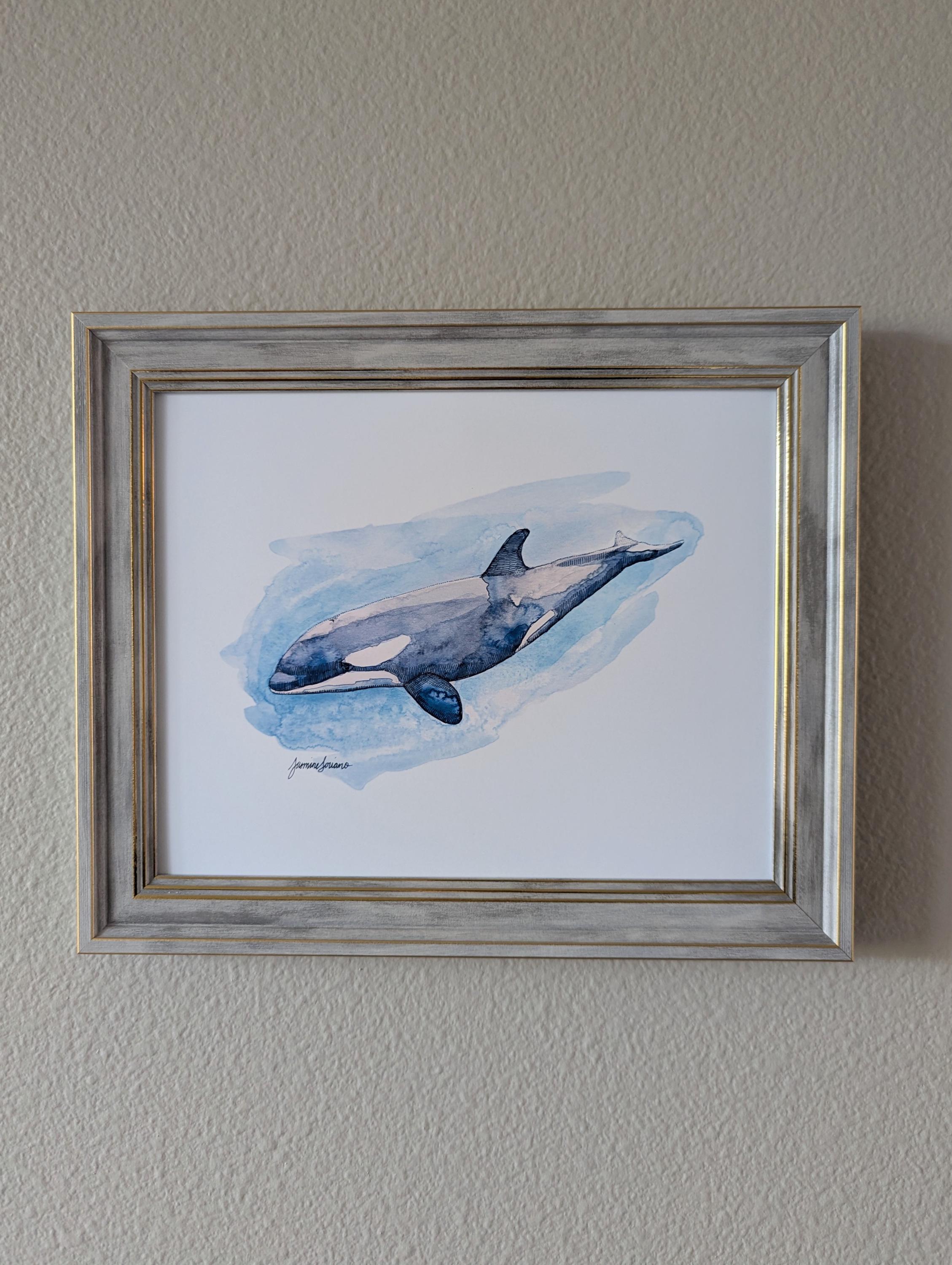 Orca Watercolor, Whale Print, Ocean Painting, Washington Art, Sealife ...