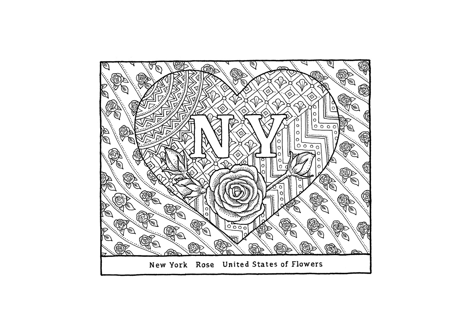 New York Rose State Flower Coloring Page, Instant PDF Download ...