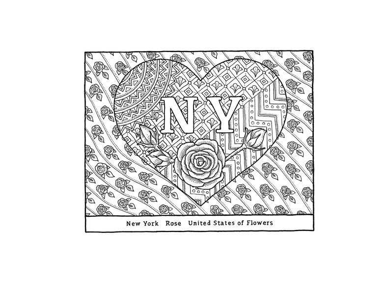 New York Rose State Flower Coloring Page Instant PDF | Etsy