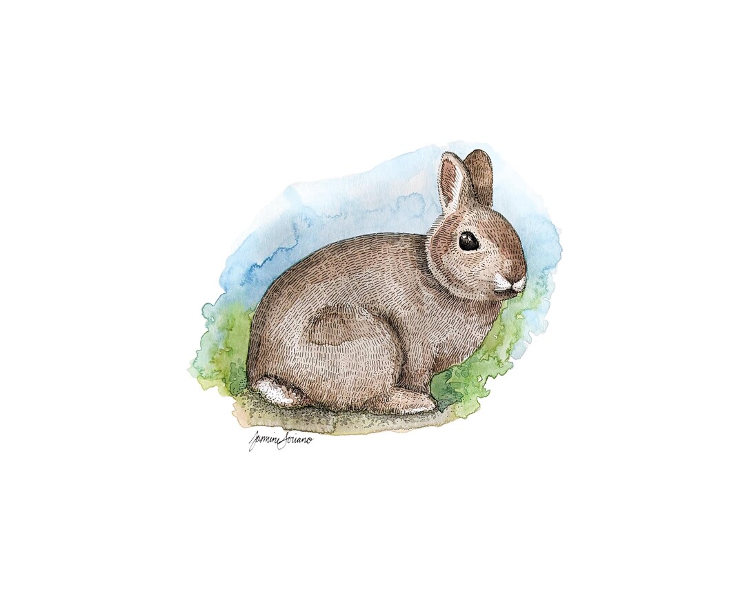 Bunny Watercolor, Animal Print, Rabbit Painting, Washington Art ...