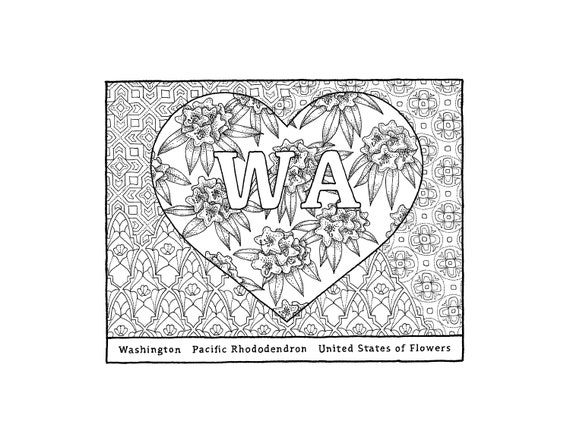 Washington State Flower Coloring Page Instant PDF Download - Etsy