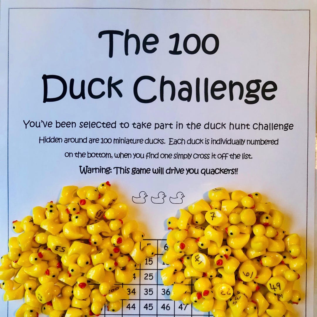 100 Duck Hunt Challenge Game: Family School Holiday Games Prank Kit ...