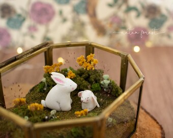 Scene in a Box | Etsy