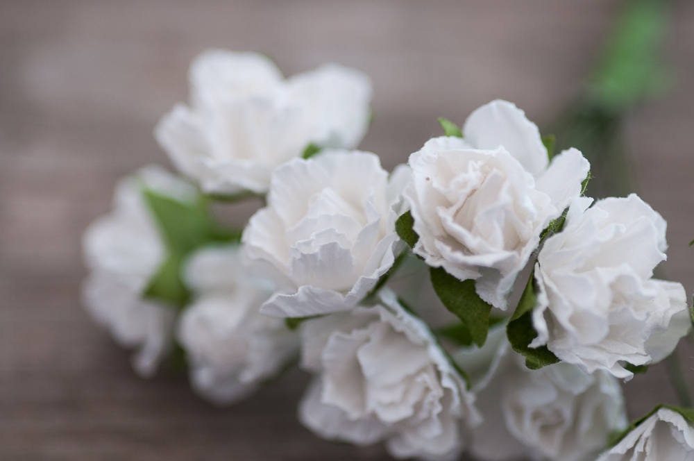 Miniature White Roses 1 Bunch of 12pics Mulberry Paper - Etsy