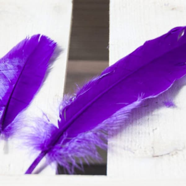 Purple Feathers - Etsy