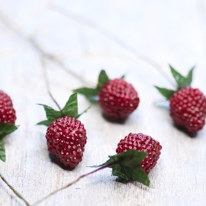 Raspberry Decor - Etsy