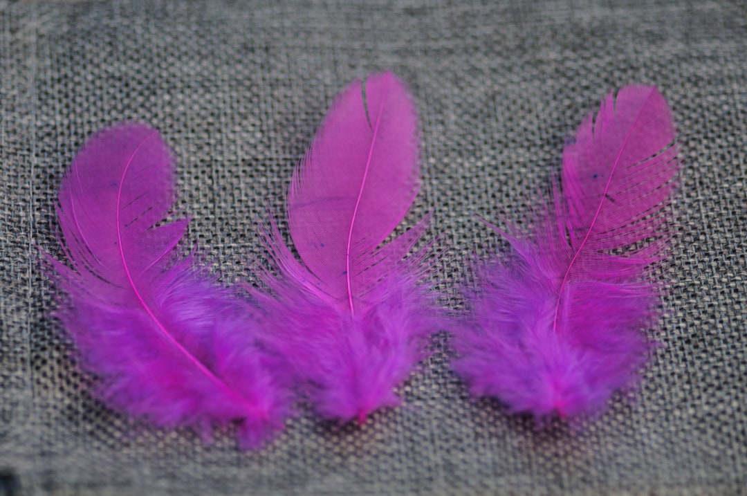 Dark Neon Pink Feathers Bohemian Wedding Decoration Natural Dyed ...