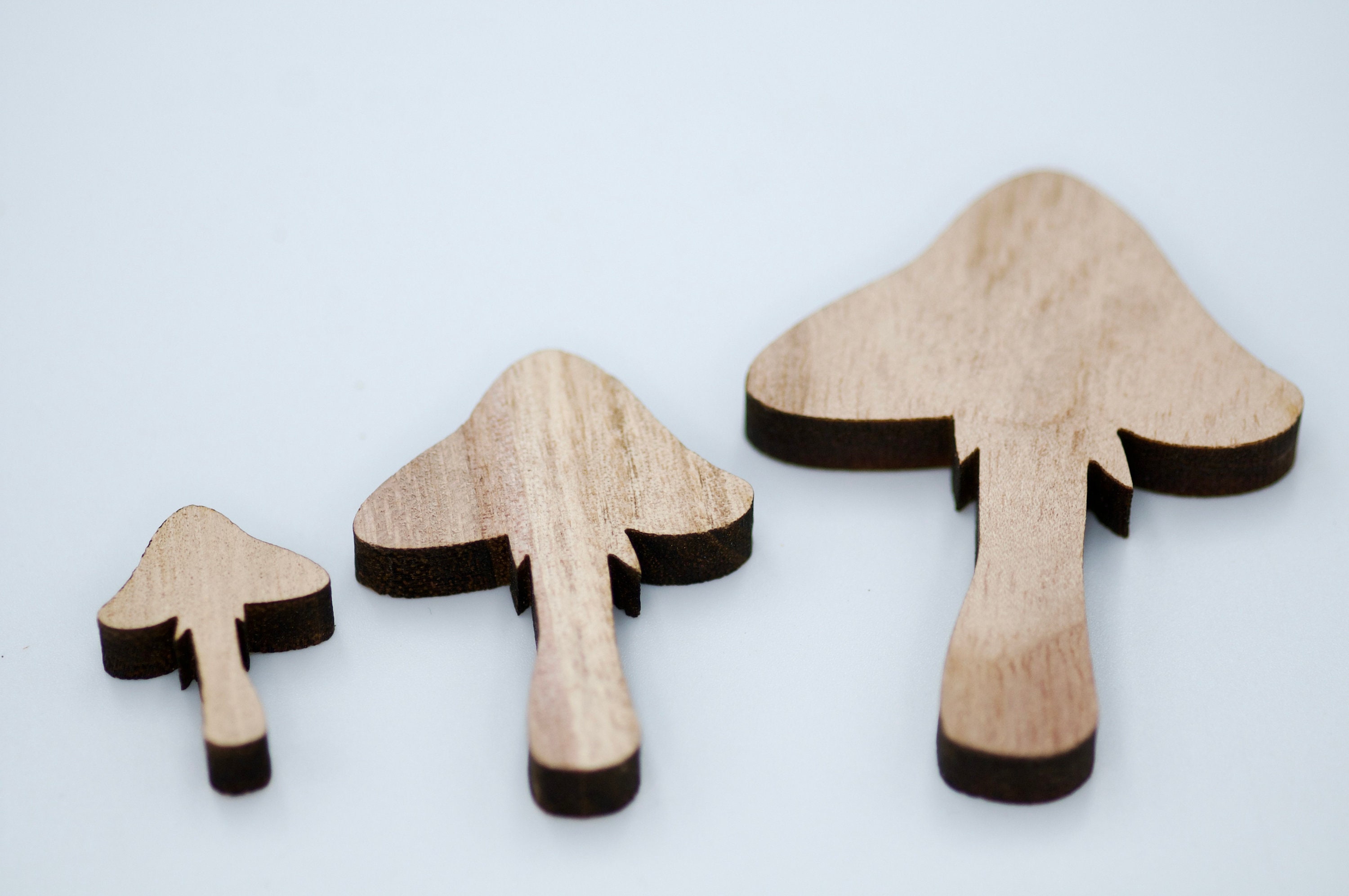 Wooden Mushroom Shapes Mix of 3 Sizes, Craft Mushroom Blanks, Wood ...