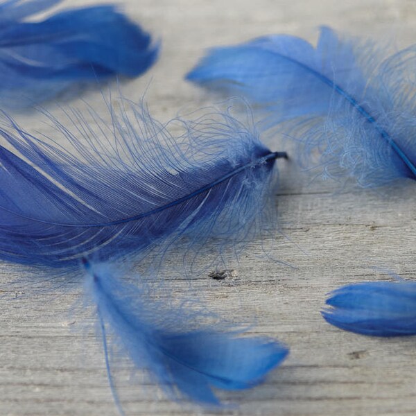 Light Blue Feathers - Etsy
