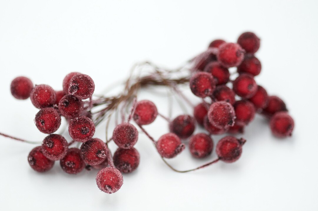 Red Sugar Coated Faux Berries, Decorative Fall Berries, Bunch of 20 ...