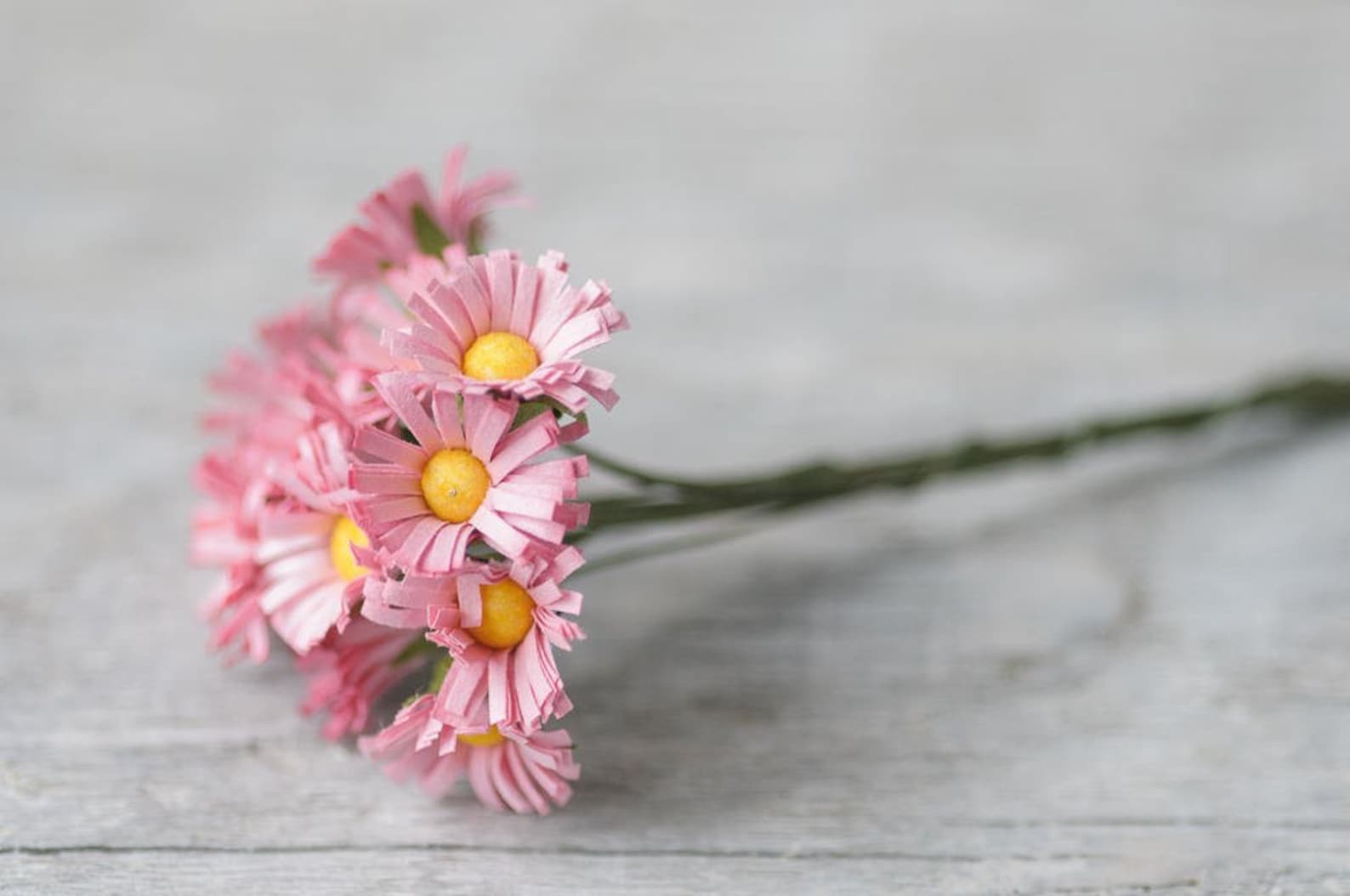 Pink Daisy Flowers Miniature Flowers Paper Flowers Paper Daisy - Etsy