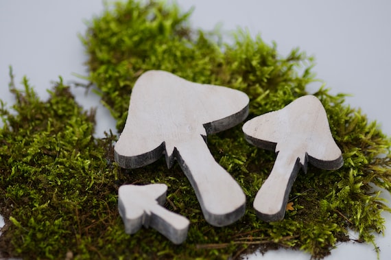 Wooden Mushroom Shapes Mix of 3 Sizes Craft Mushroom Blanks - Etsy