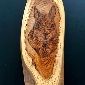 Squirrel Pyrography Picture. Wood Burned Picture of a Squirrel in a ...
