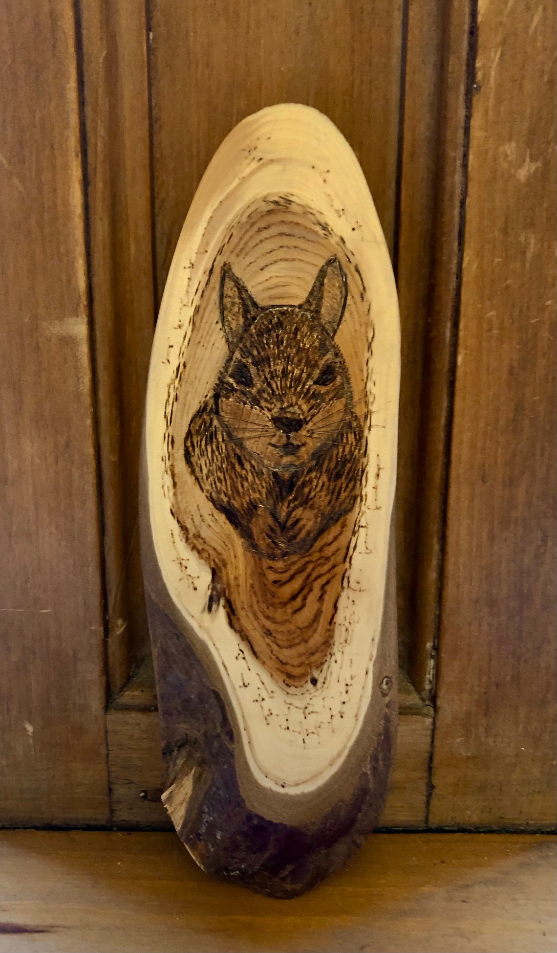 Squirrel Pyrography Picture. Wood Burned Picture of a Squirrel in a ...
