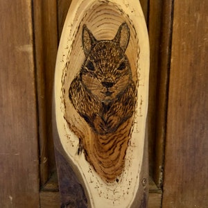 Squirrel Pyrography Picture. Wood Burned Picture of a Squirrel in a ...