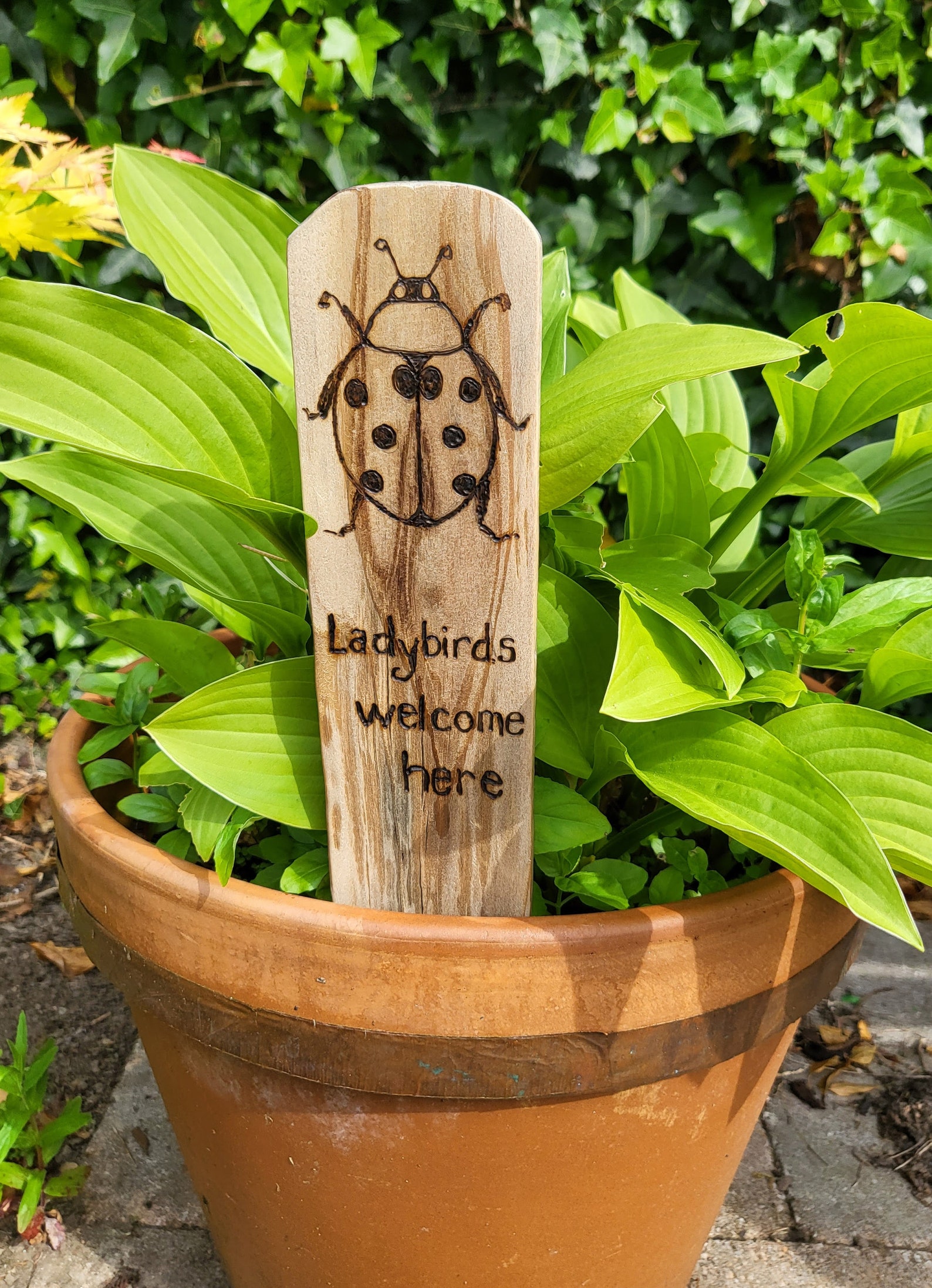 Wooden Garden Sign 'ladybirds Welcome Here' Hand Engraved on Reclaimed ...