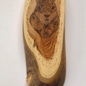 Squirrel Pyrography Picture. Wood Burned Picture of a Squirrel in a ...