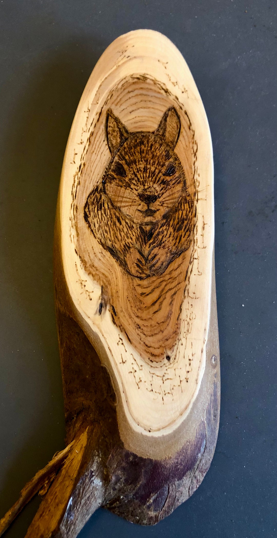 Squirrel Pyrography Picture. Wood Burned Picture of a Squirrel in a ...