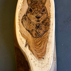 Squirrel Pyrography Picture. Wood Burned Picture of a Squirrel in a ...