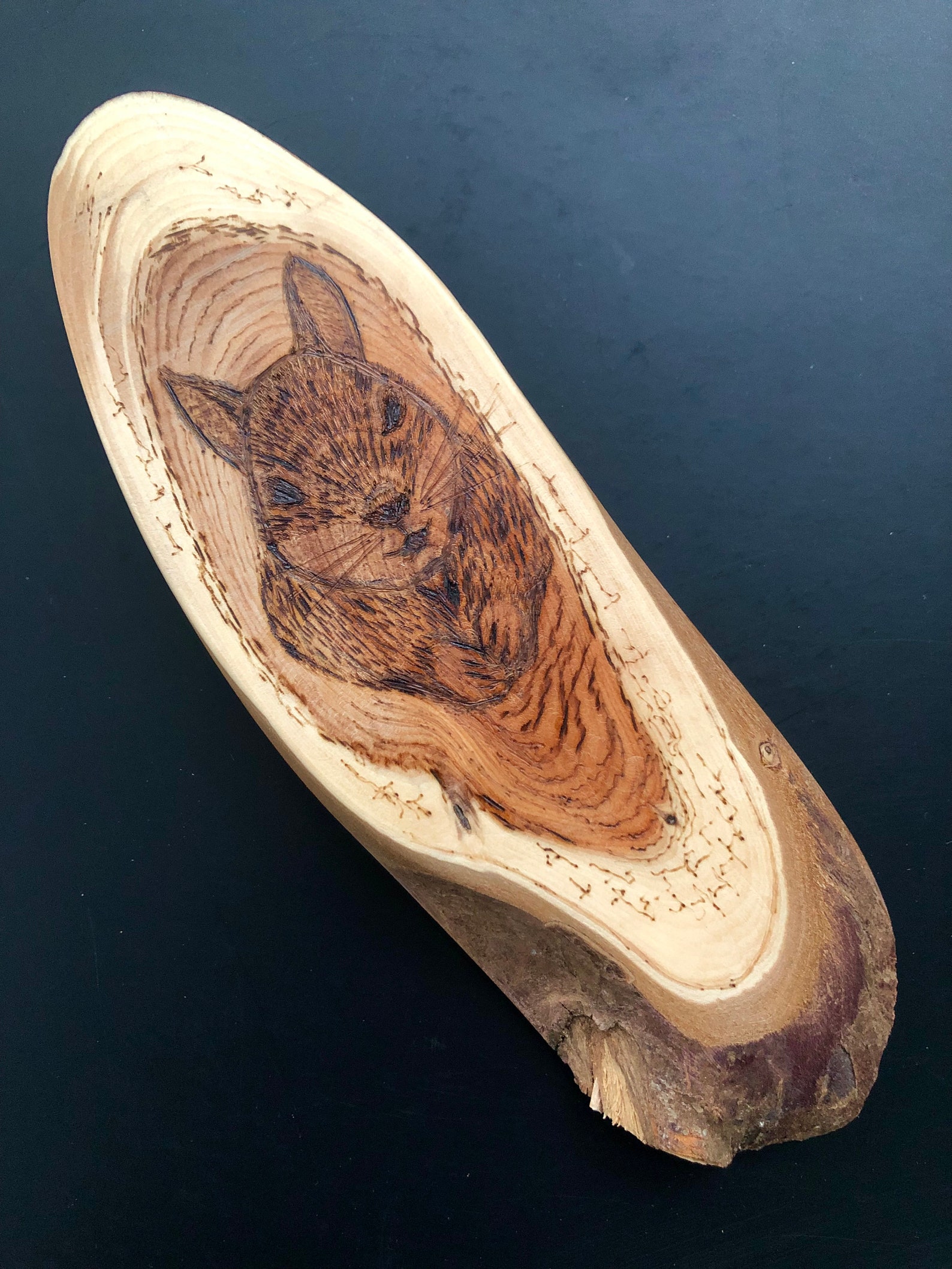 Squirrel Pyrography Picture. Wood Burned Picture of a Squirrel in a ...