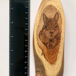 Squirrel Pyrography Picture. Wood Burned Picture of a Squirrel in a ...