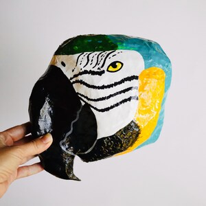 Petey the Parrot Paper Mache Wall Art Quirky Decor Sculpture - Etsy
