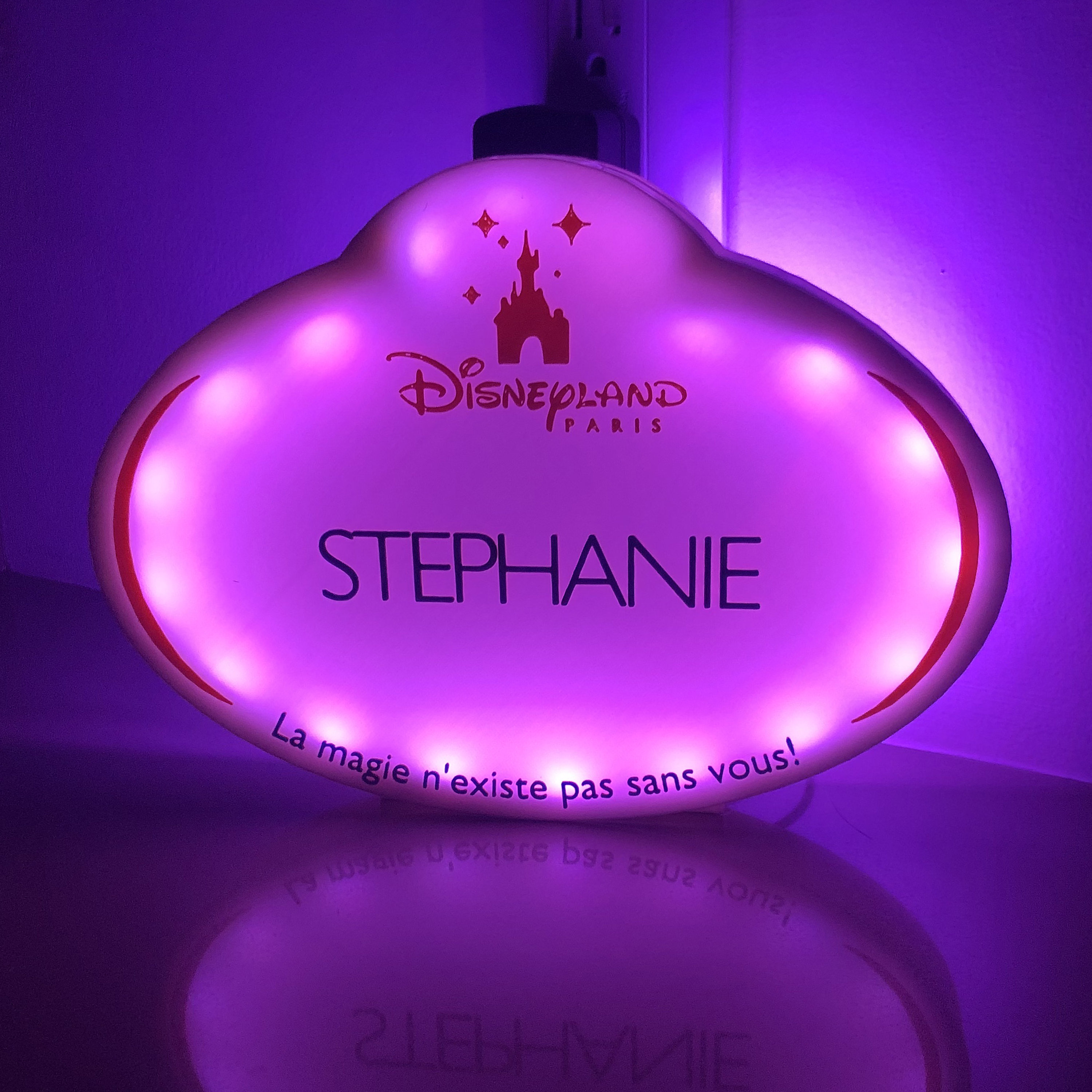 Custom Large 3D Printed Disney Cast Member Name Tag - Etsy