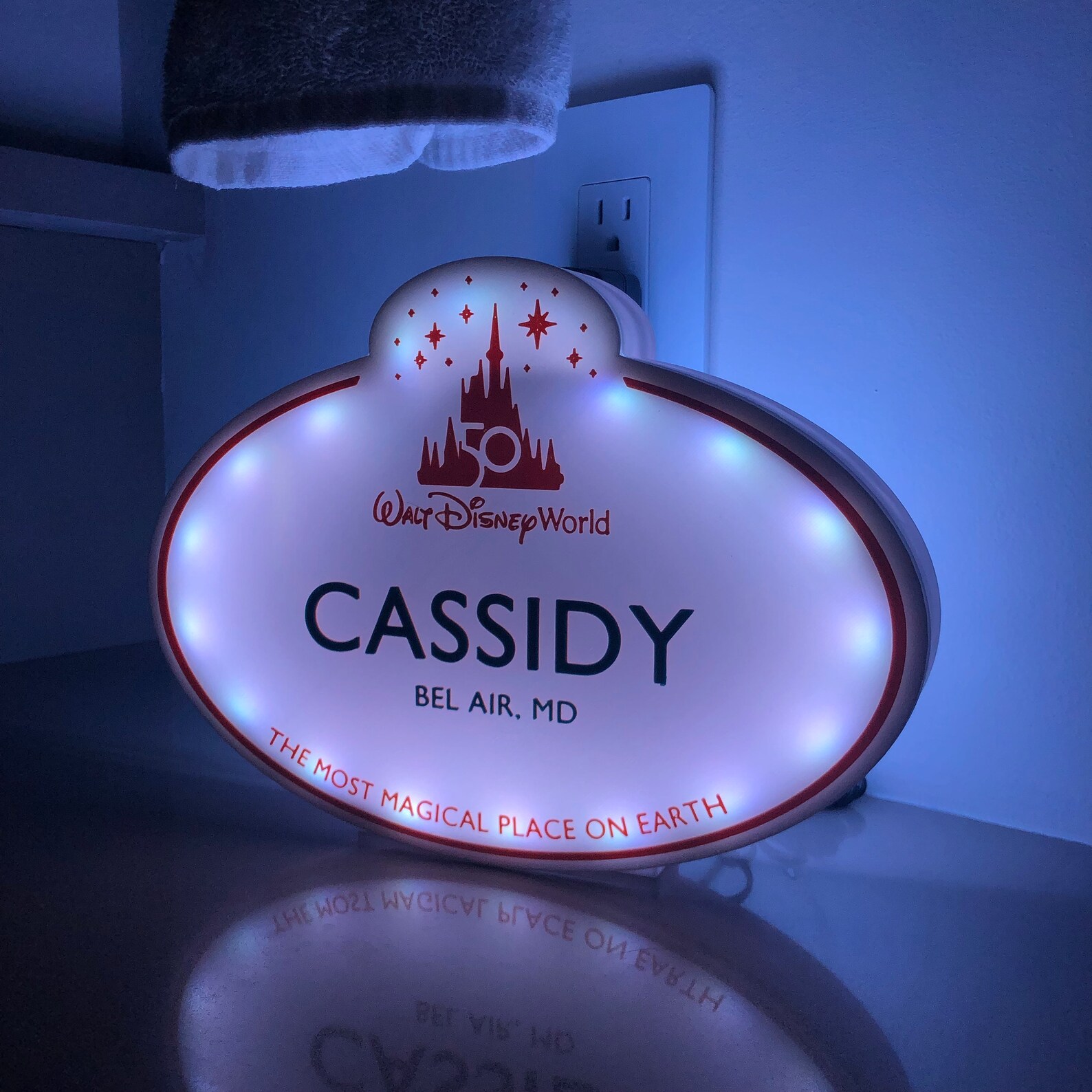 Custom Large 3D Printed Disney Cast Member Name Tag Decoration - Etsy