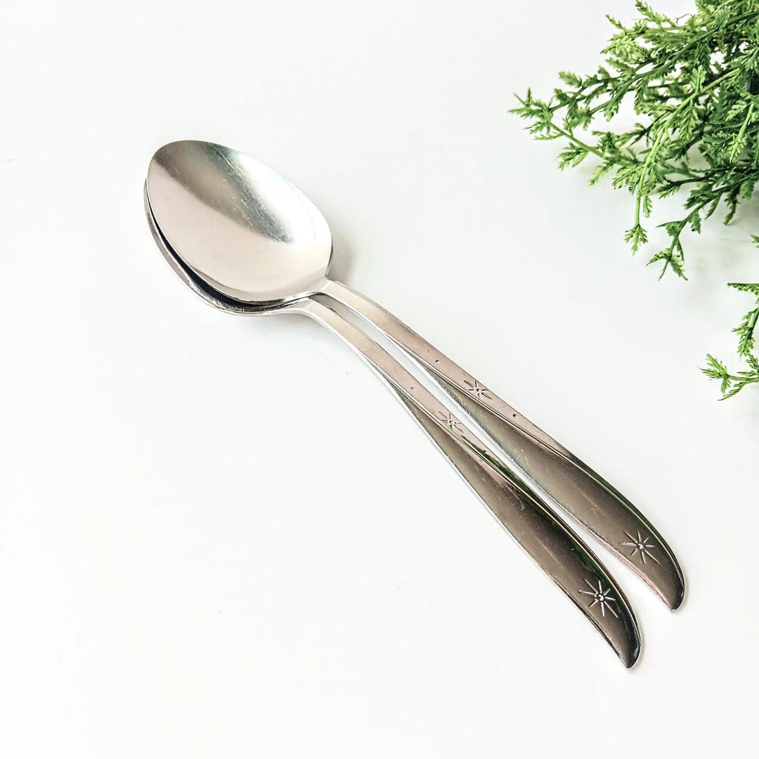 2 Twin Star Oneida Community Stainless Serving Spoons /1960s Vintage ...