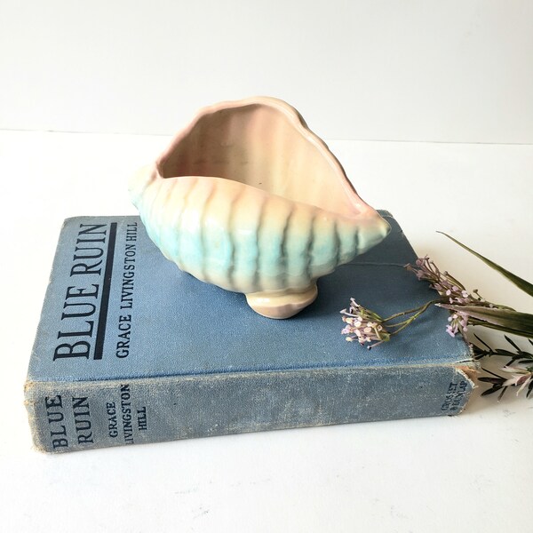 Conch Shell Planter - Etsy