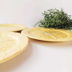 3 Vintage Secla Yellow Cabbage Leaf Salad Dessert Luncheon Plates ...