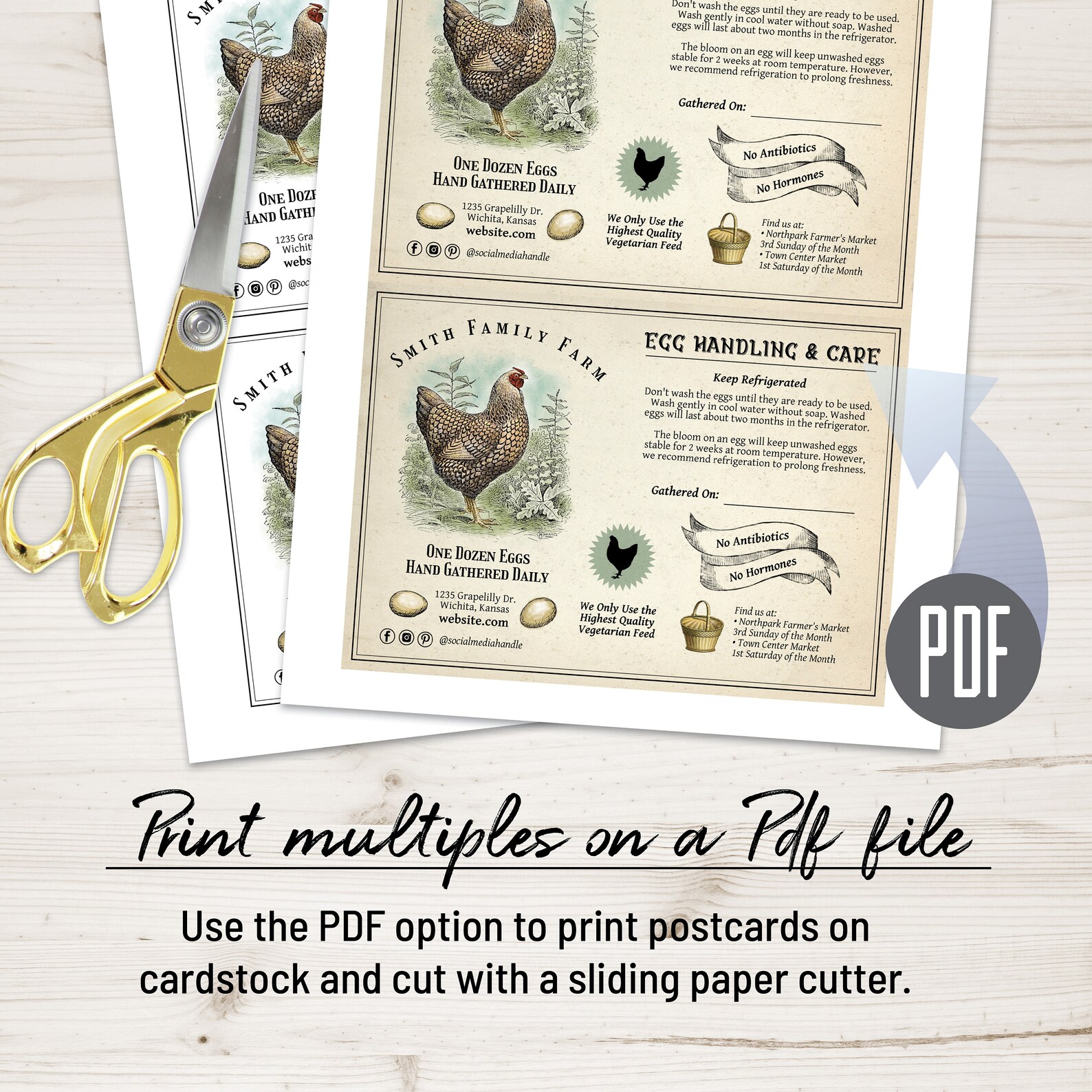 Egg Handling Instruction Card Template, Egg Safety & Care Flyer ...