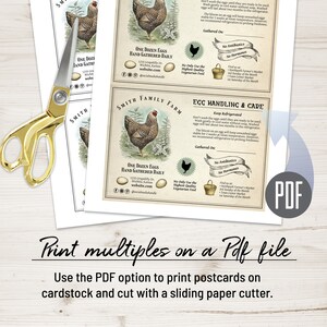 Egg Handling Instruction Card Template, Egg Safety & Care Flyer ...